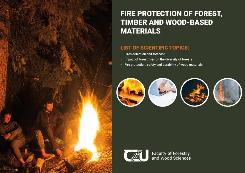 Fire Protection of Forest, Timber and Wood-Based Materials - Forestry ...