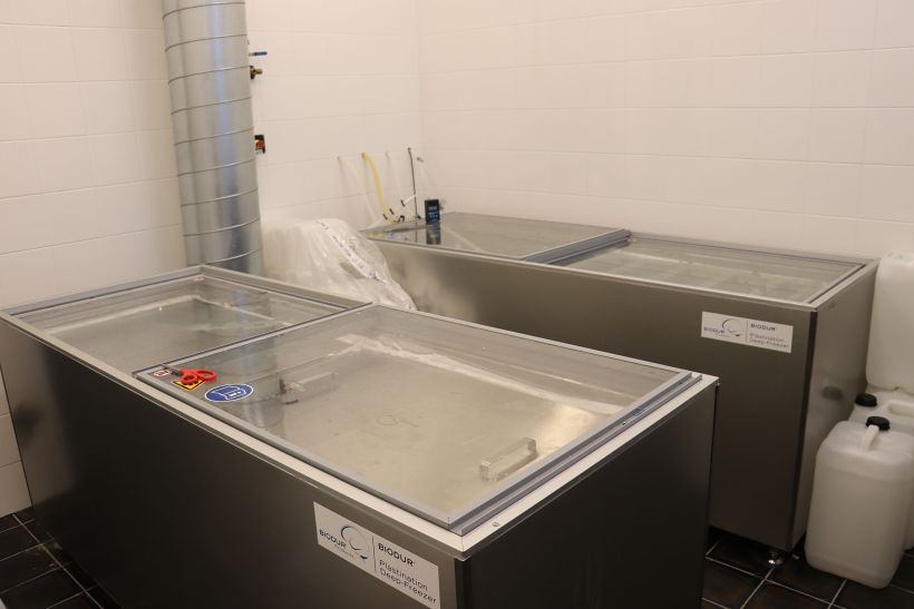 Plastination laboratory HT109 - Forestry and Wood Sciences CZU Prague