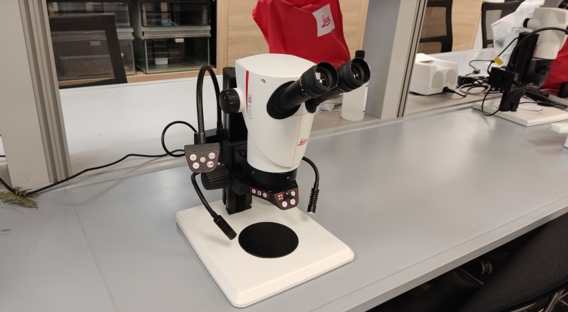 Mikroskopy, stereomikroskopy - Fakulta lesnická a dřevařská ČZU v Praze